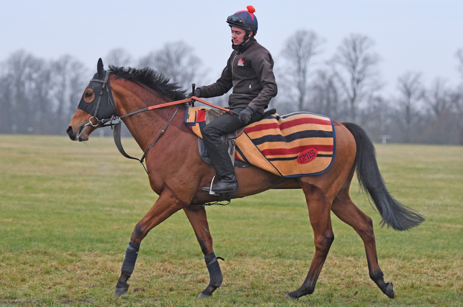 David Simcock has enjoyed top-class success, training in Newmarket