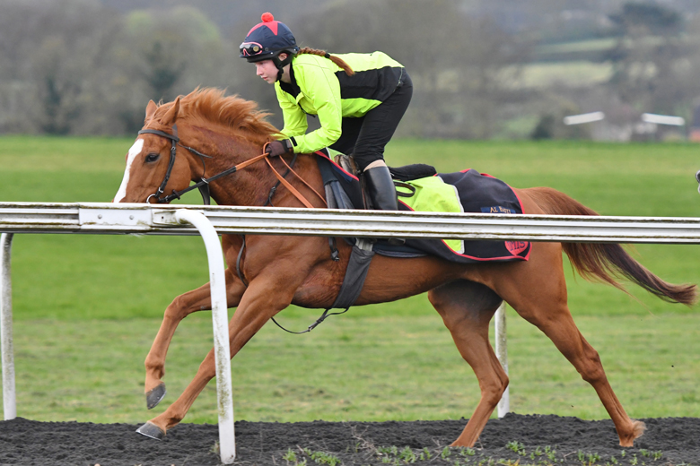 David Simcock has enjoyed top-class success, training in Newmarket
