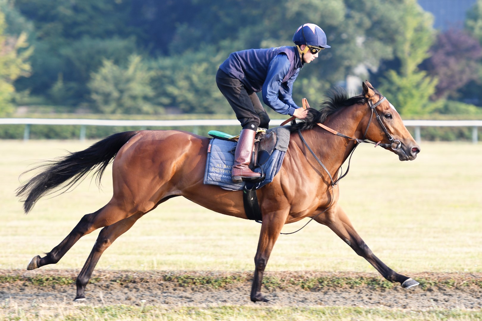 David Simcock has enjoyed top-class success, training in Newmarket