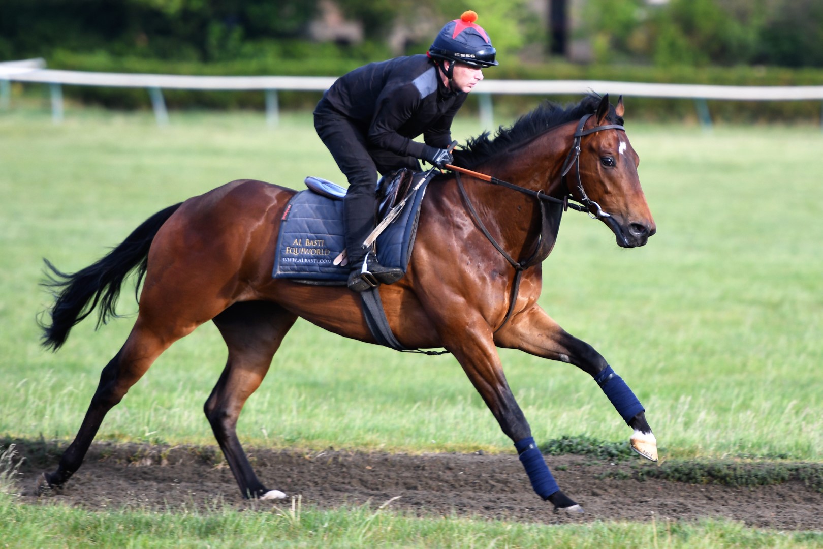 David Simcock has enjoyed top-class success, training in Newmarket