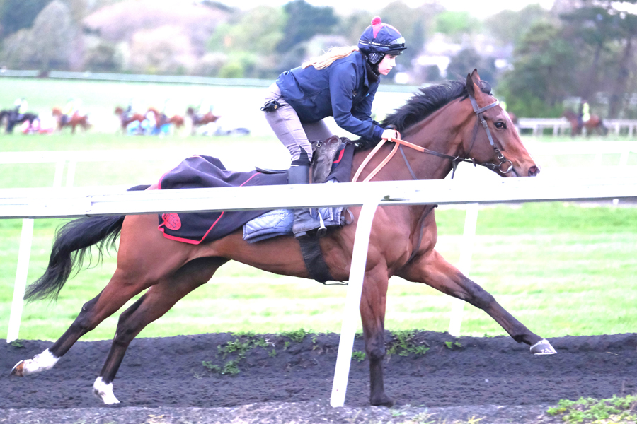 David Simcock has enjoyed top-class success, training in Newmarket
