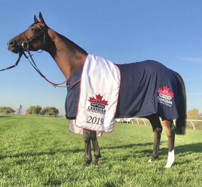 David Simcock has enjoyed top-class success, training in Newmarket