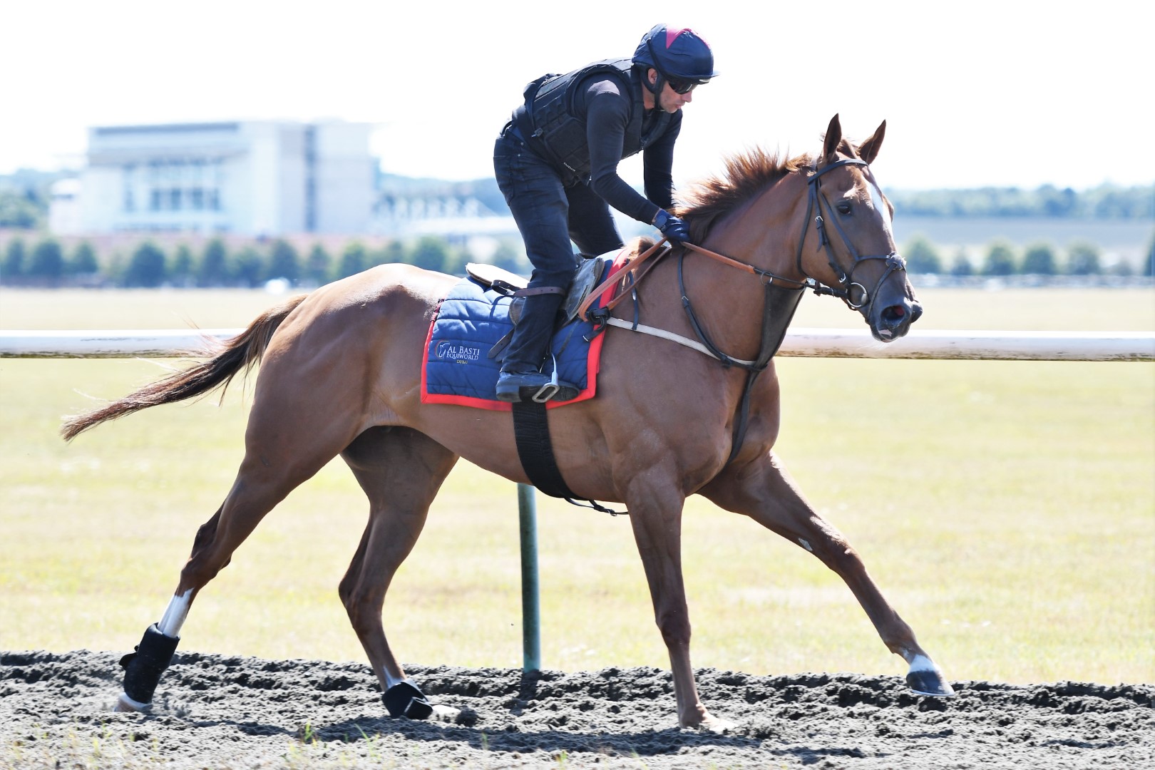 David Simcock has enjoyed top-class success, training in Newmarket