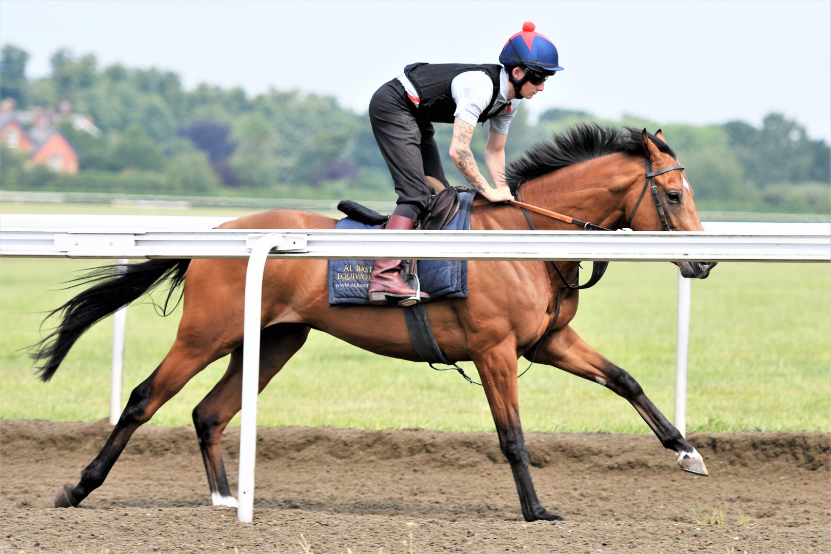 David Simcock has enjoyed top-class success, training in Newmarket