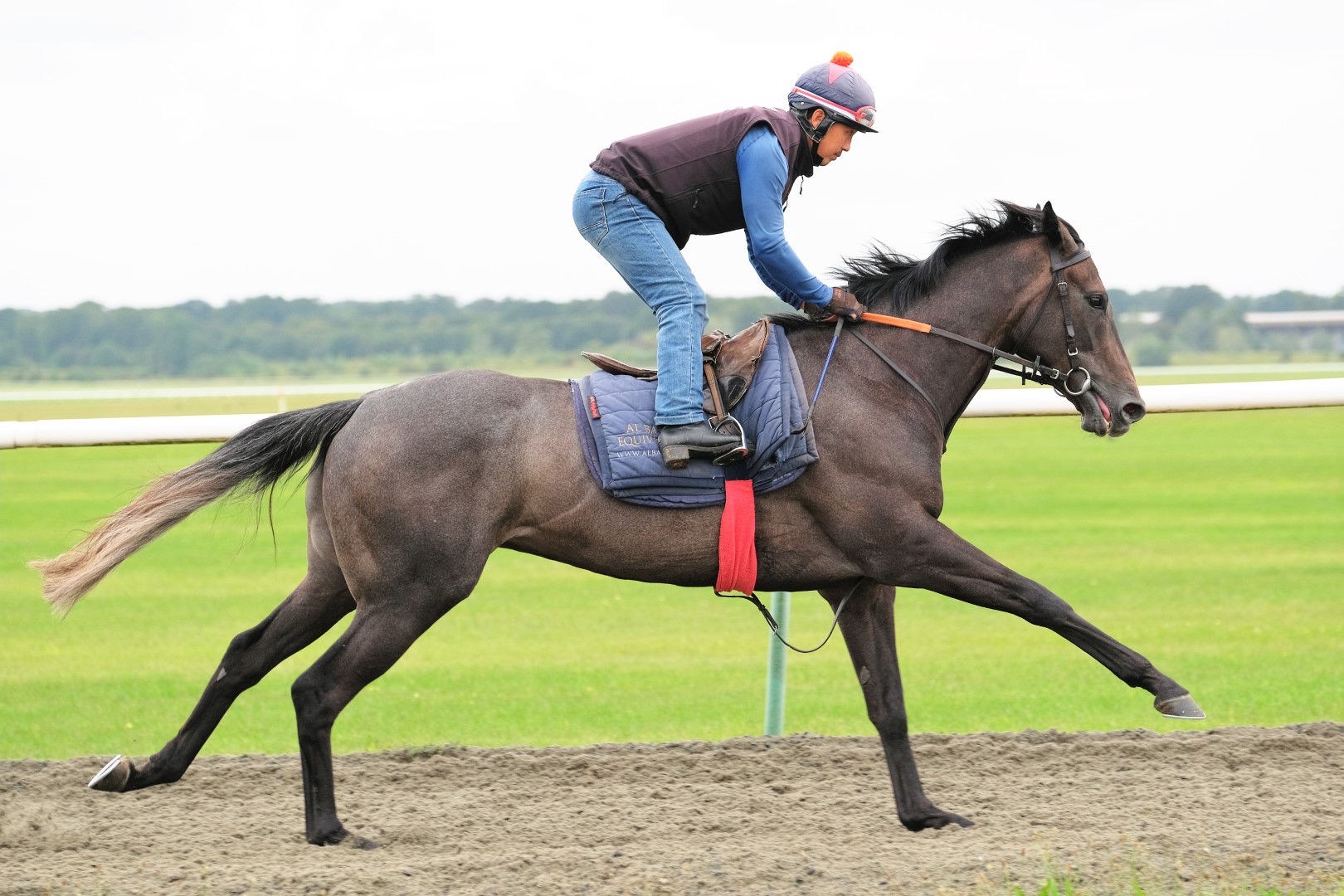 David Simcock has enjoyed top-class success, training in Newmarket