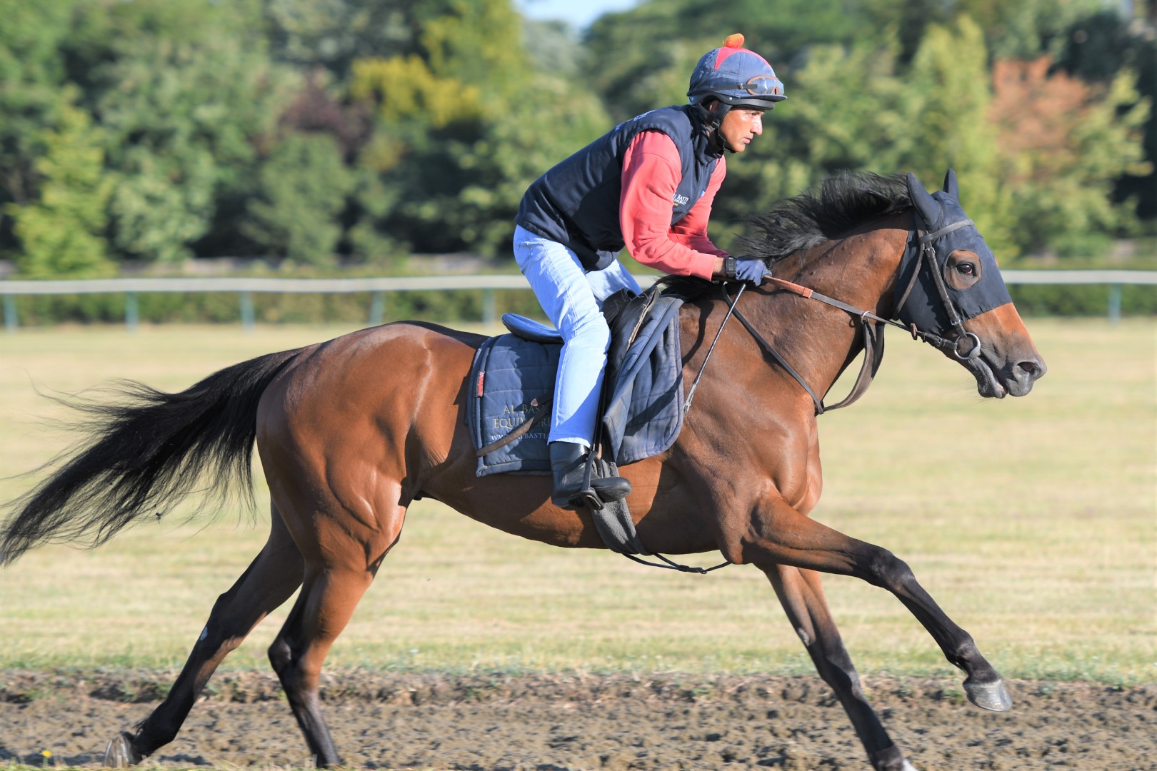 David Simcock has enjoyed top-class success, training in Newmarket