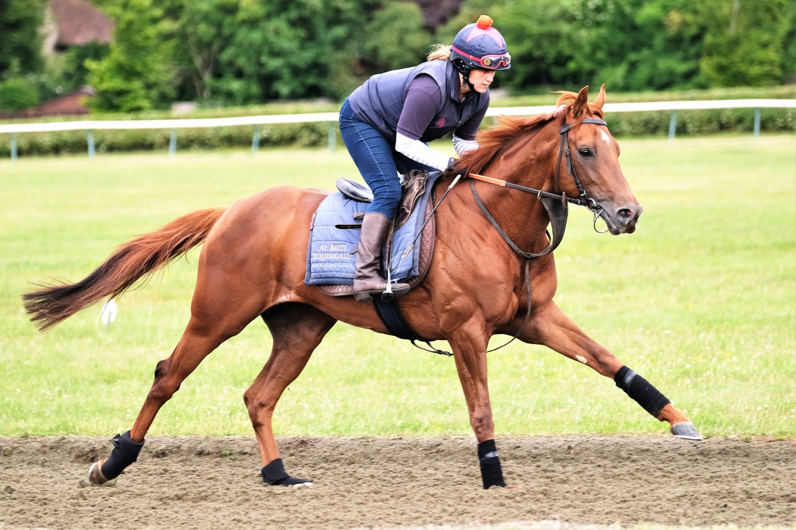 David Simcock has enjoyed top-class success, training in Newmarket