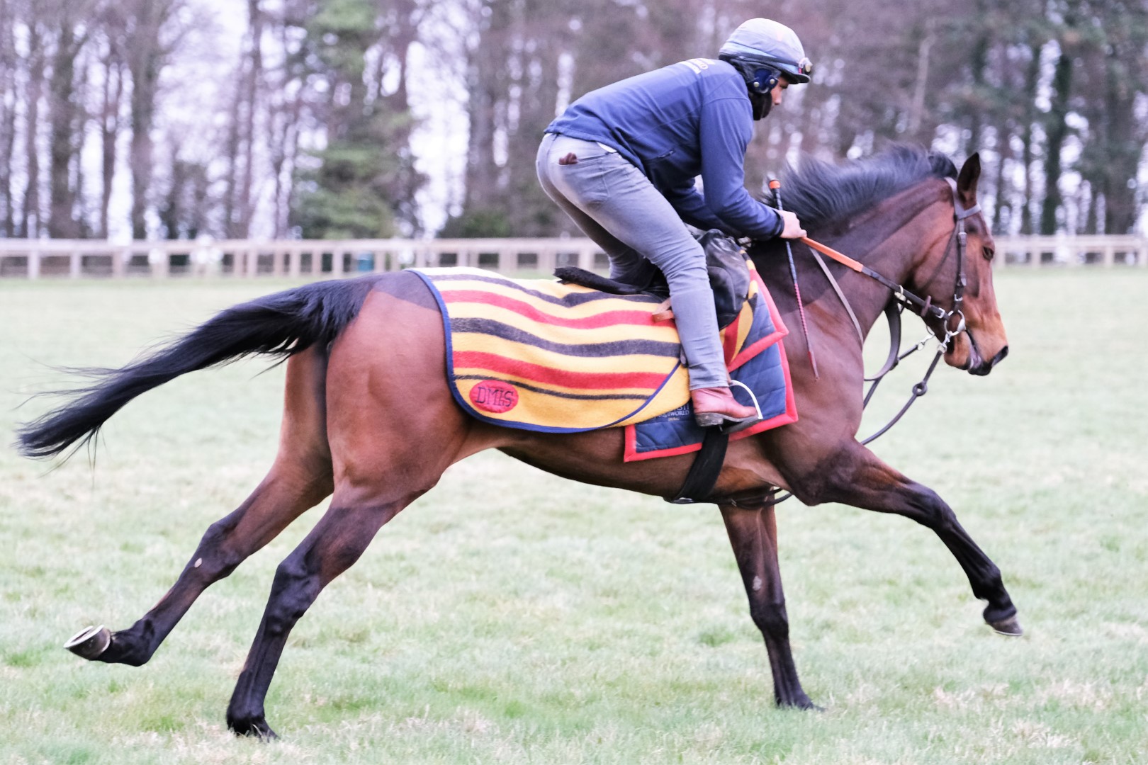 David Simcock has enjoyed top-class success, training in Newmarket