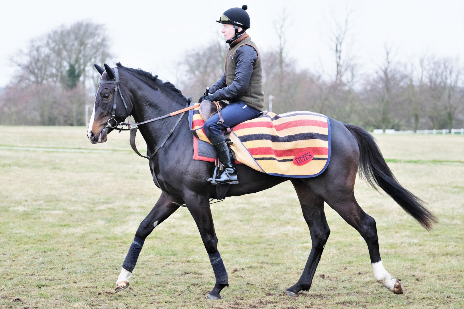 David Simcock has enjoyed top-class success, training in Newmarket