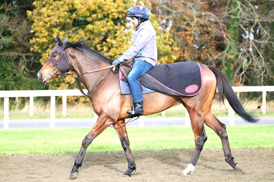 David Simcock has enjoyed top-class success, training in Newmarket