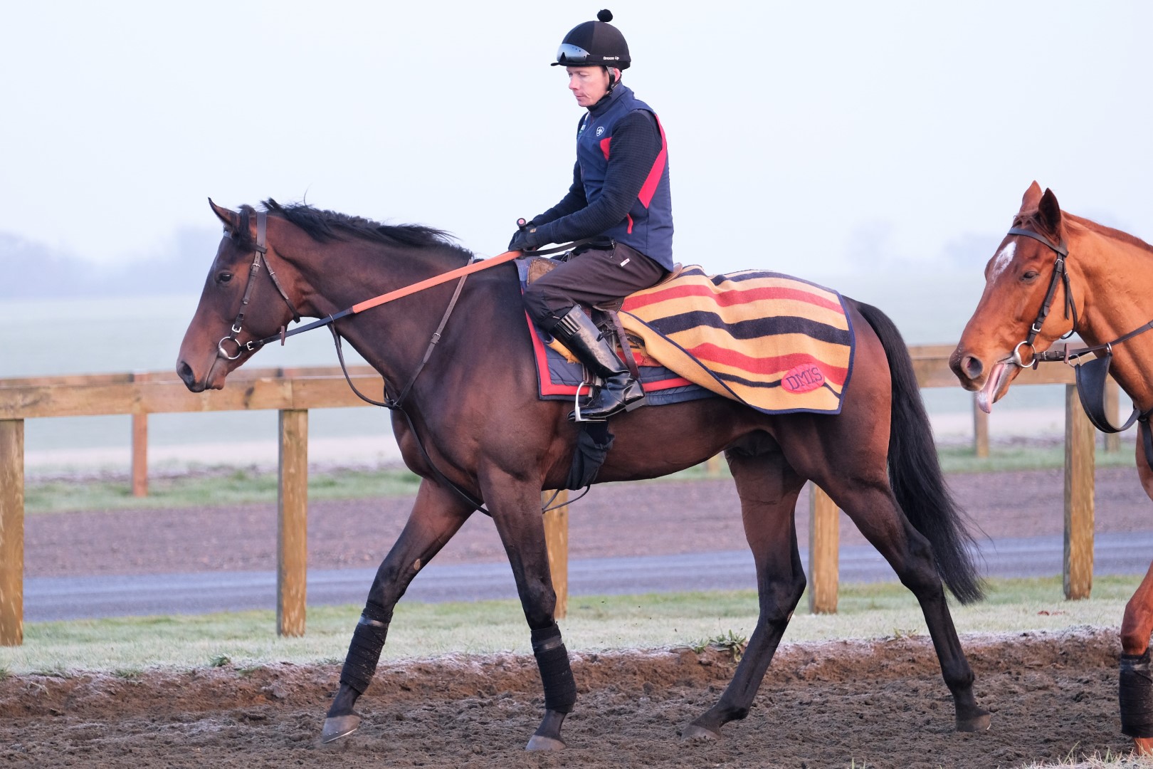 David Simcock has enjoyed top-class success, training in Newmarket
