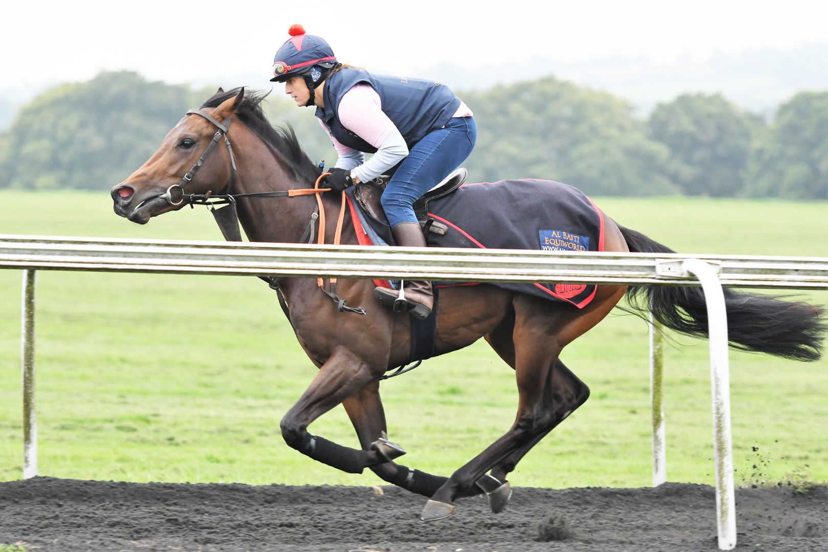David Simcock has enjoyed top-class success, training in Newmarket