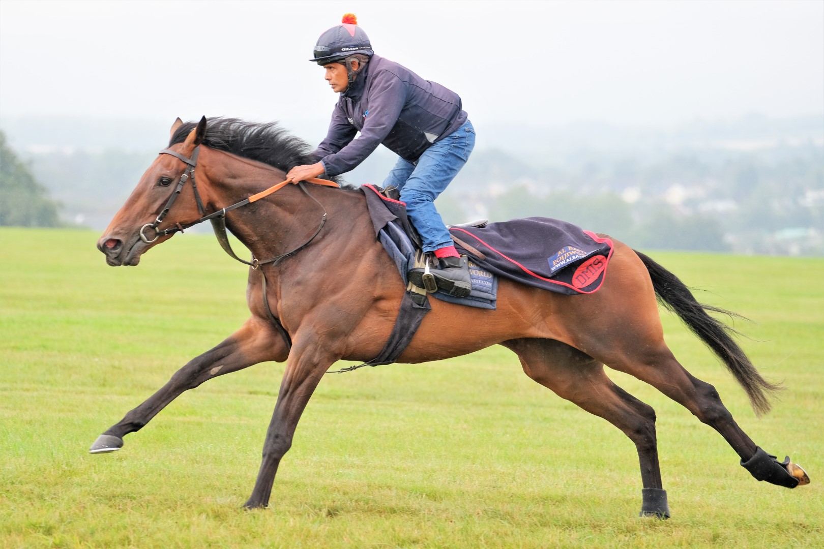 David Simcock has enjoyed top-class success, training in Newmarket