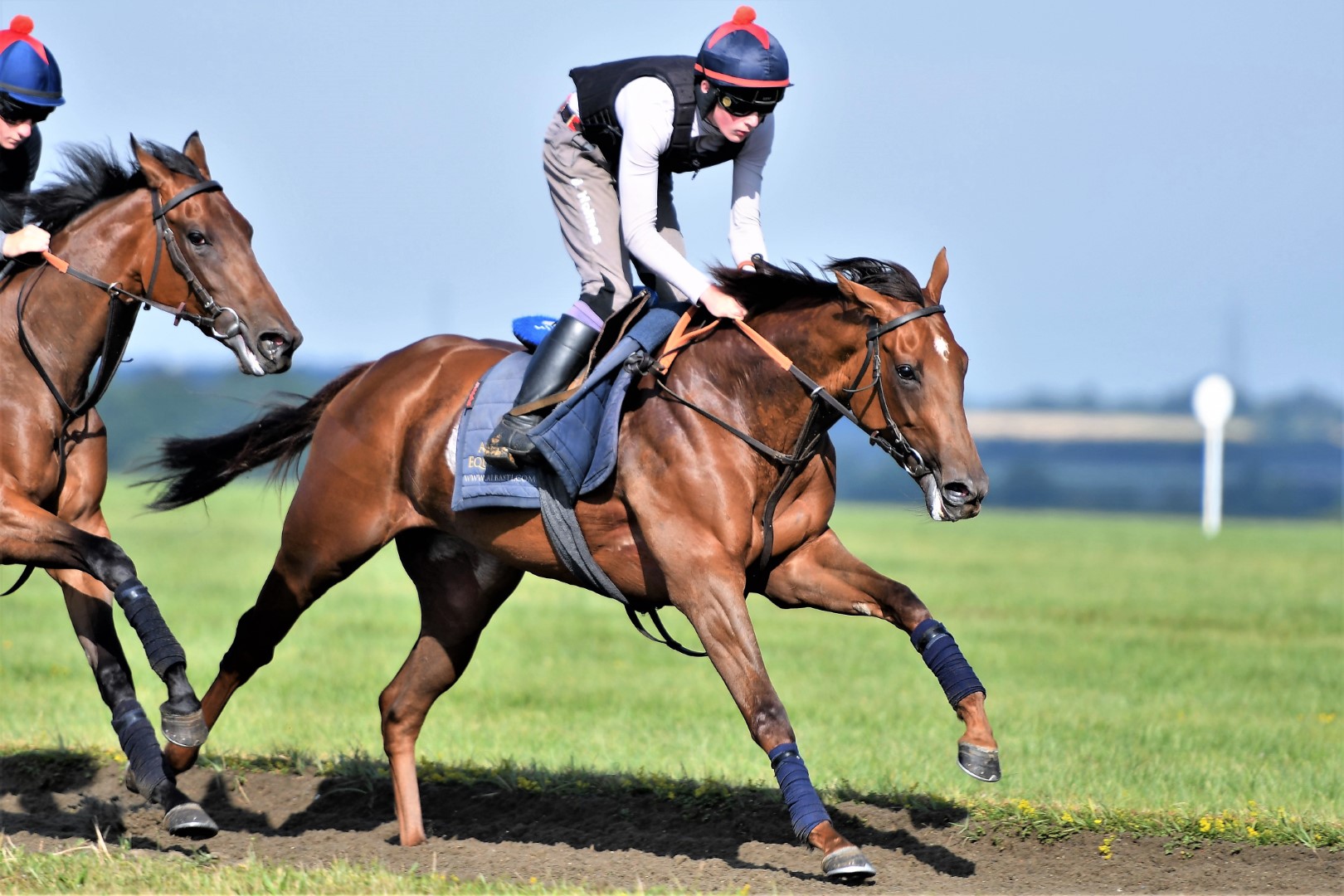 David Simcock has enjoyed top-class success, training in Newmarket