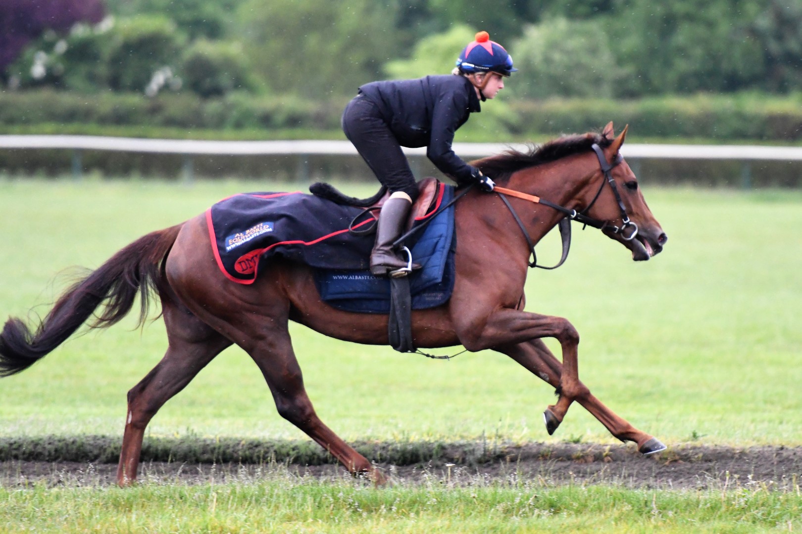David Simcock has enjoyed top-class success, training in Newmarket
