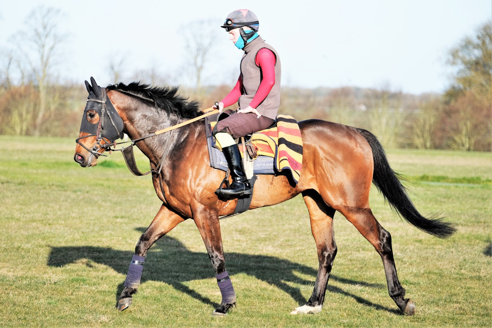 David Simcock has enjoyed top-class success, training in Newmarket