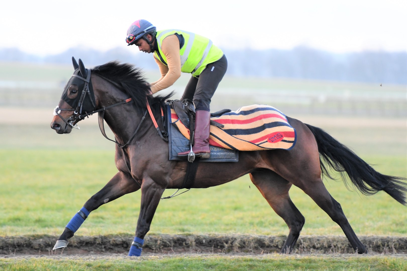 David Simcock has enjoyed top-class success, training in Newmarket