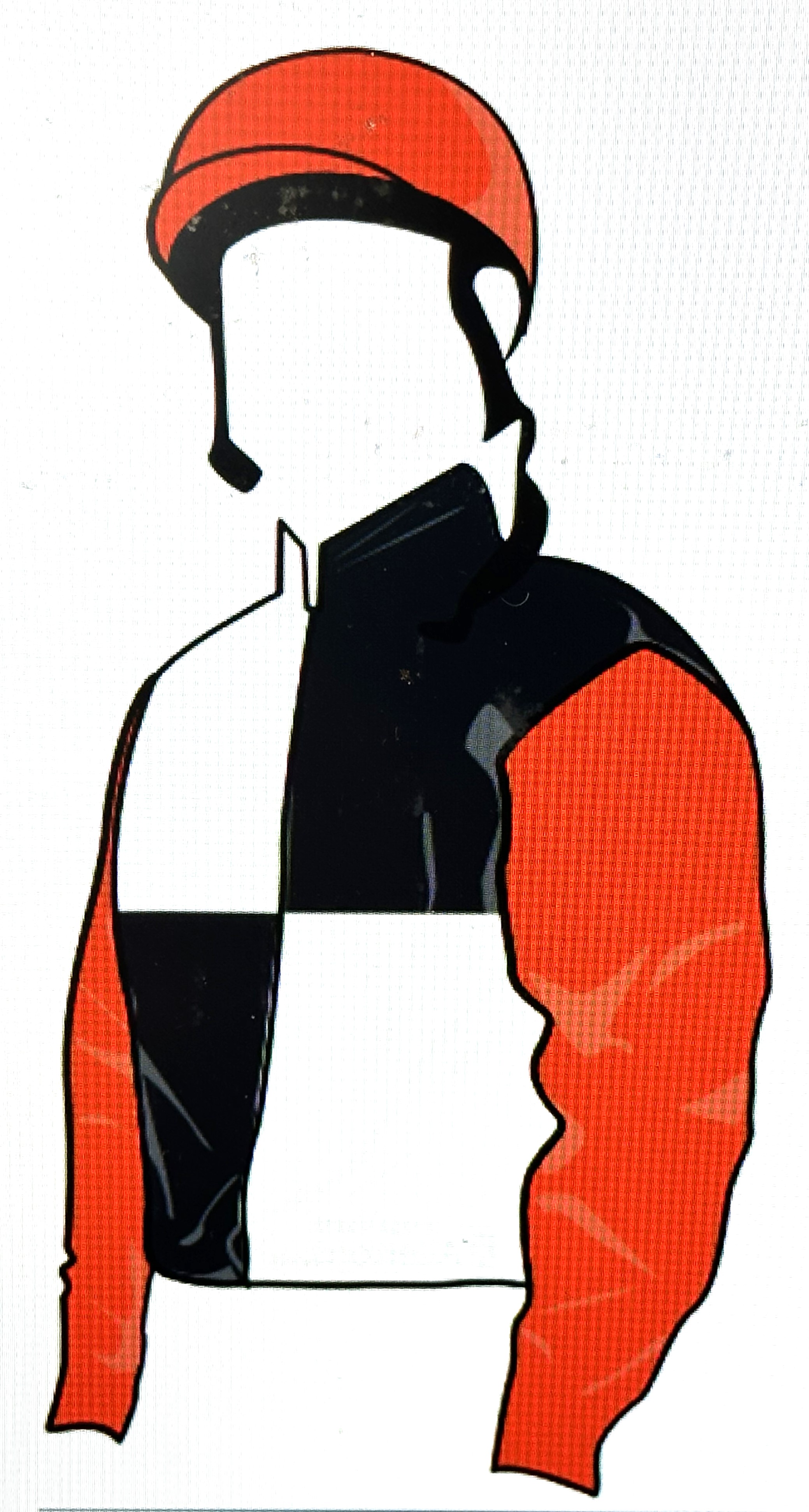 Older Horses | Full details about all the horses at racehorse trainer ...